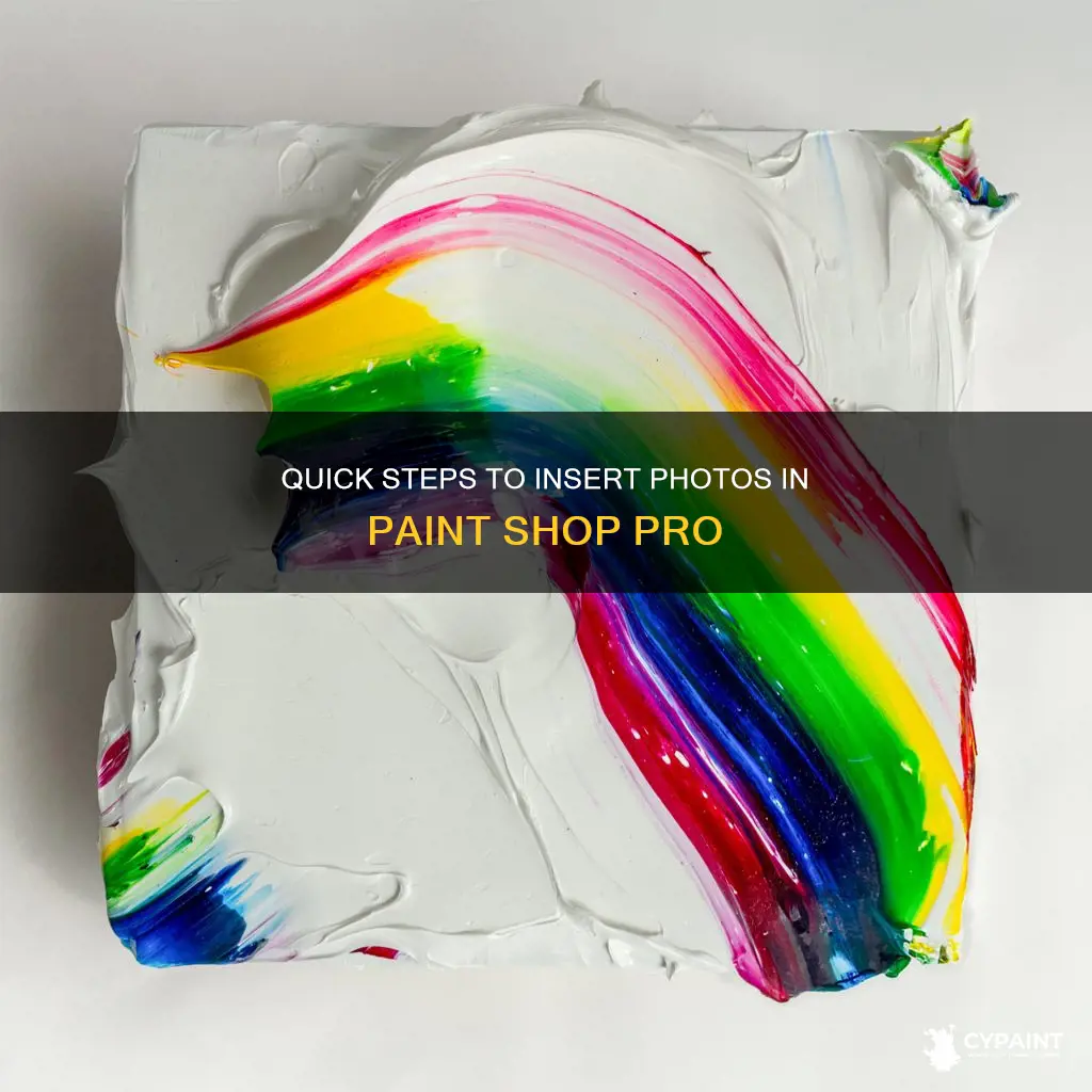 Quick Steps To Insert Photos In Paint Shop Pro | CyPaint