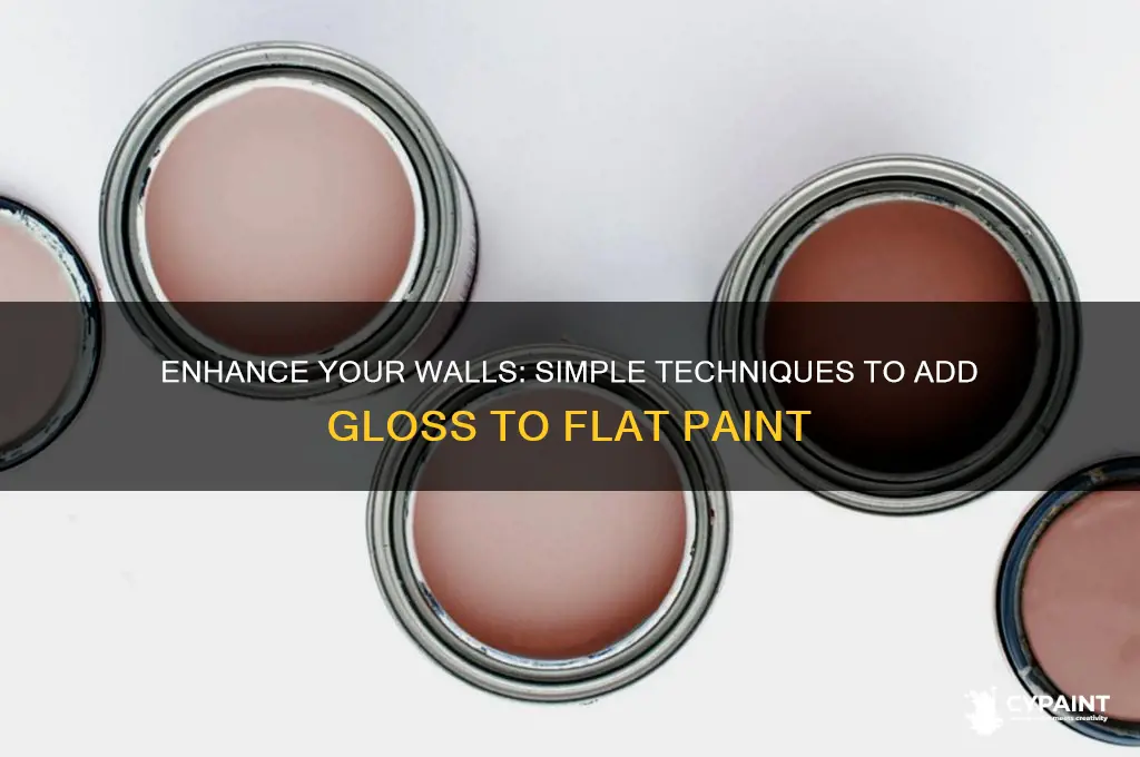 Enhance Your Walls: Simple Techniques To Add Gloss To Flat Paint | CyPaint