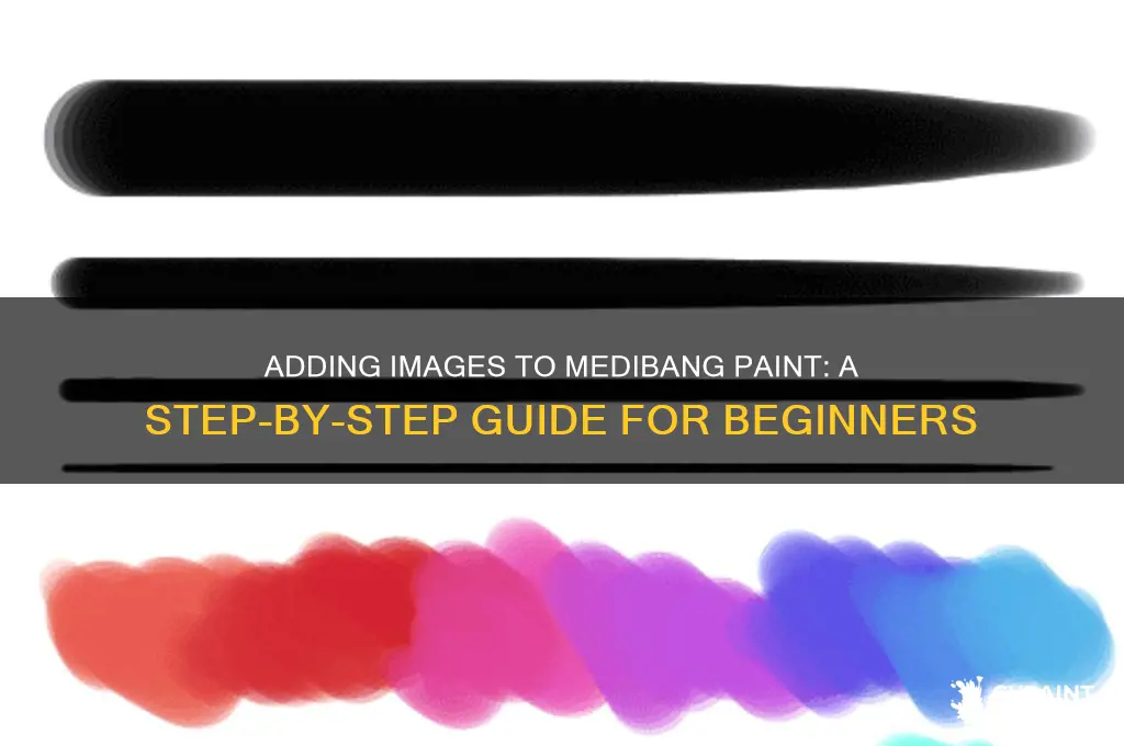 Adding Images To Medibang Paint: A Step-By-Step Guide For Beginners ...