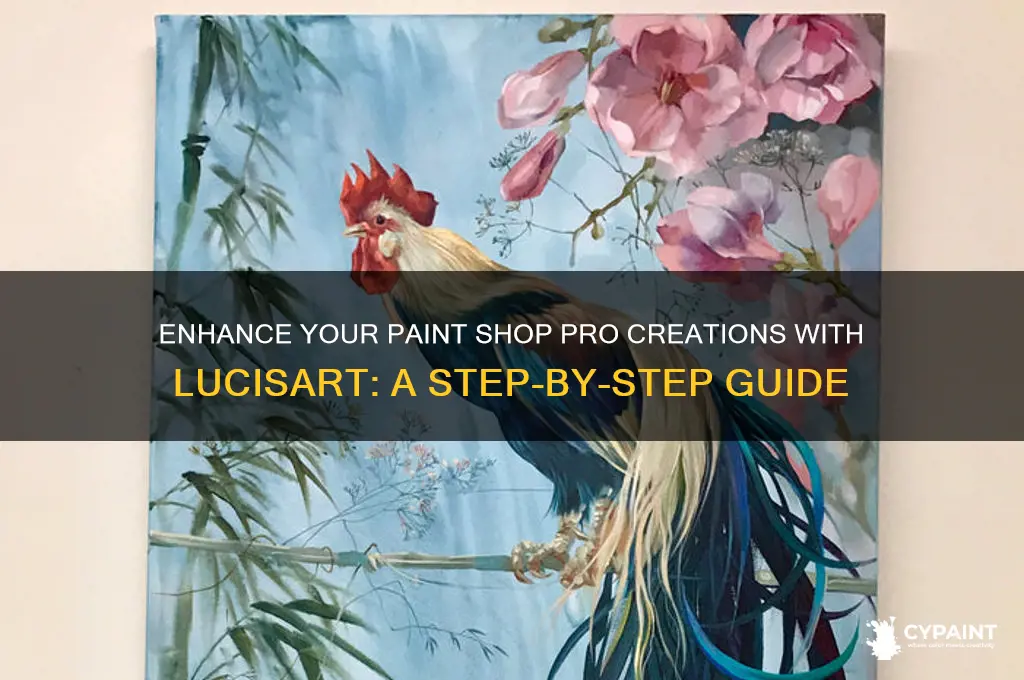 Enhance Your Paint Shop Pro Creations With Lucisart: A Step-By-Step ...
