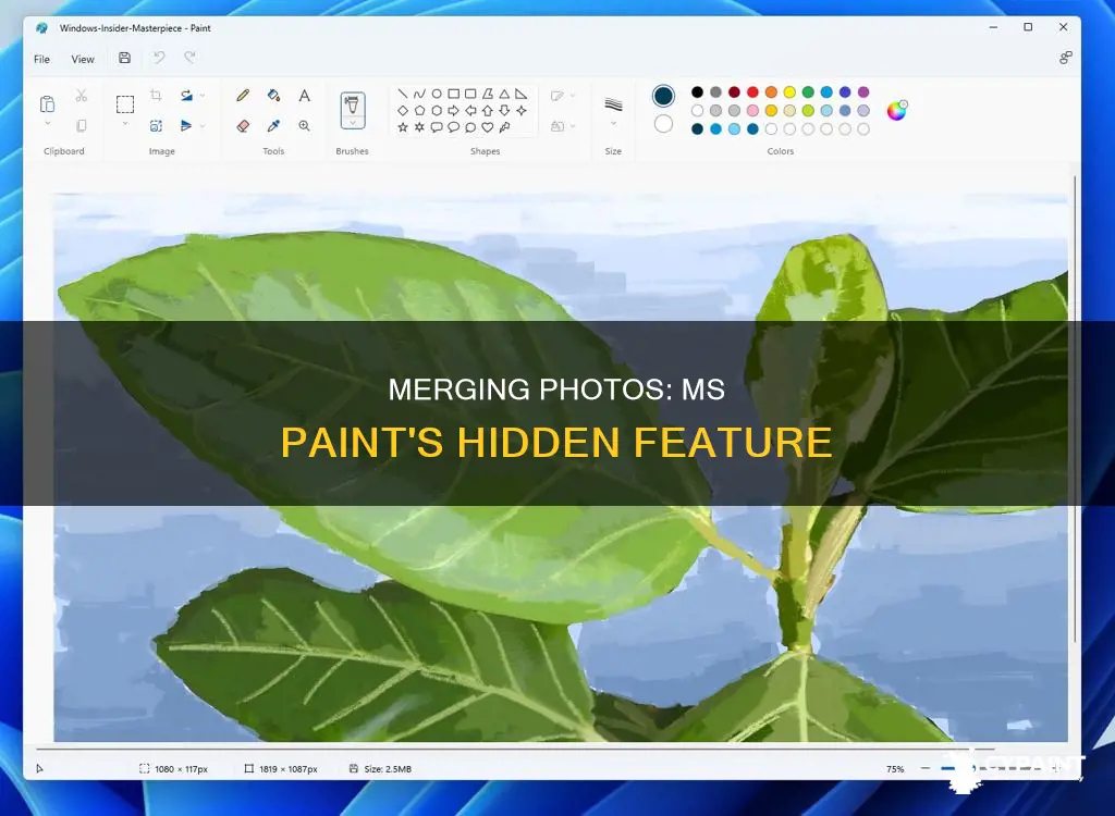 Merging Photos: Ms Paint's Hidden Feature | CyPaint