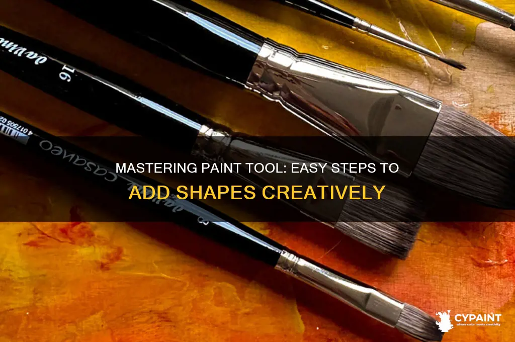 Mastering Paint Tool: Easy Steps To Add Shapes Creatively | CyPaint
