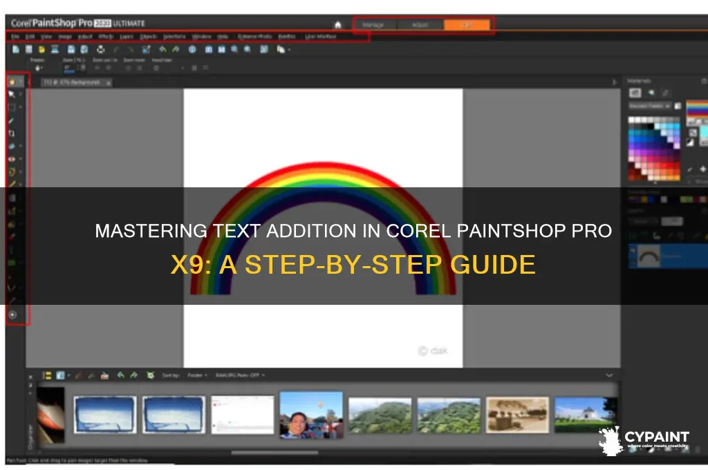 Mastering Text Addition In Corel Paintshop Pro X9: A Step-By-Step Guide ...