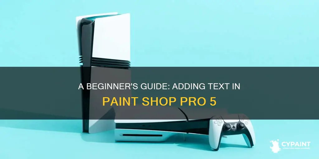 A Beginner's Guide: Adding Text In Paint Shop Pro 5 | CyPaint