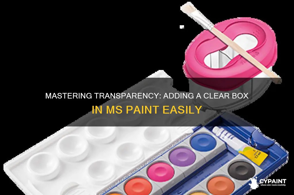 Mastering Transparency: Adding A Clear Box In Ms Paint Easily | CyPaint