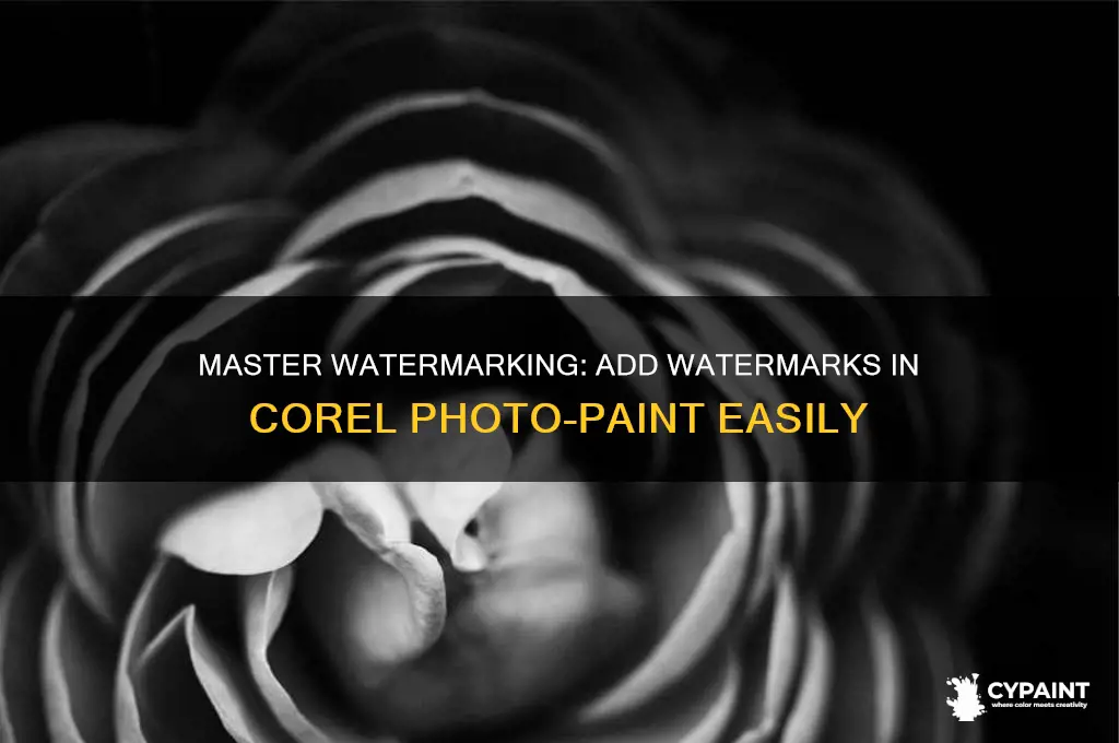 Master Watermarking: Add Watermarks In Corel Photo-Paint Easily | CyPaint