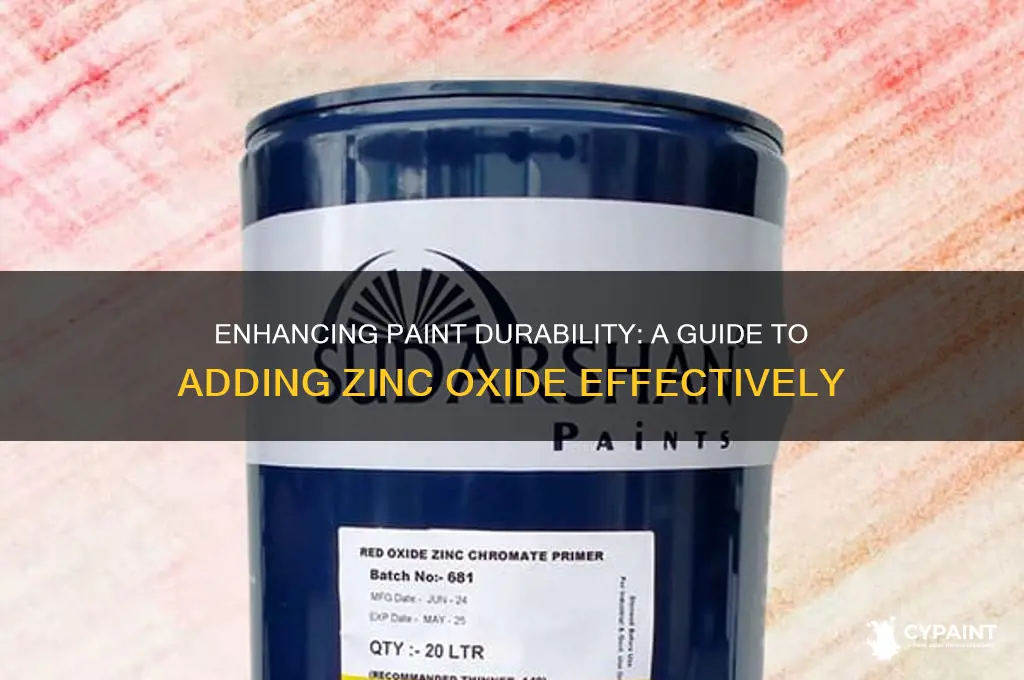 Enhancing Paint Durability: A Guide To Adding Zinc Oxide Effectively ...