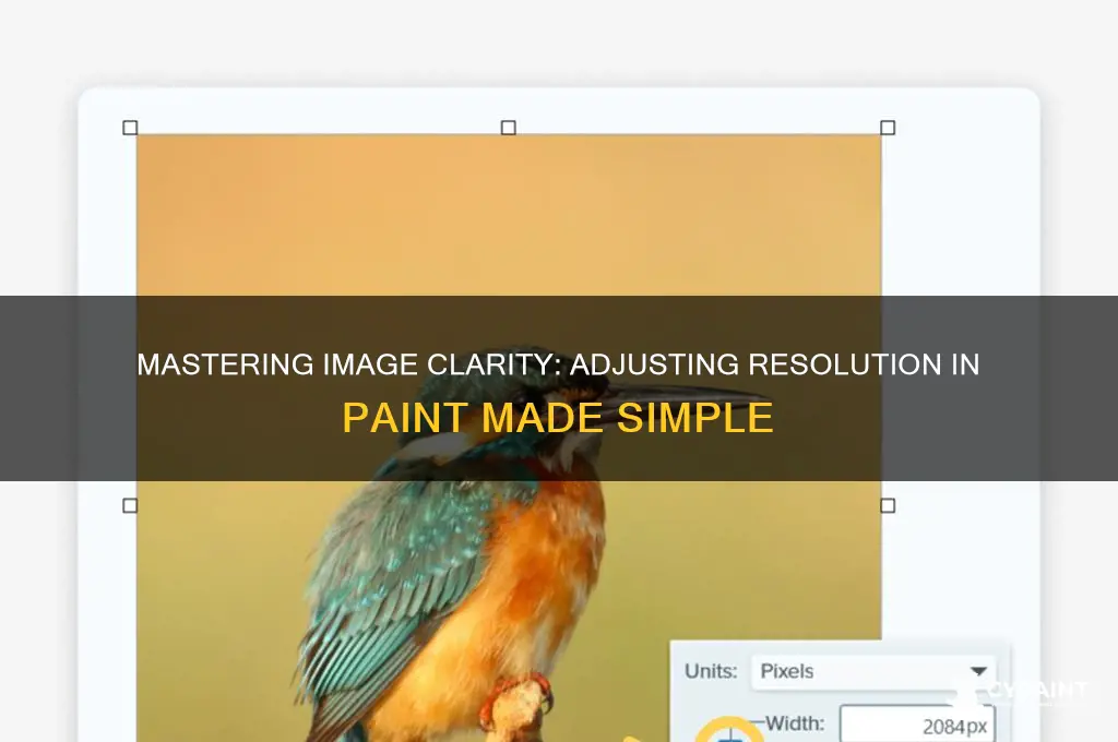 Mastering Image Clarity: Adjusting Resolution In Paint Made Simple ...