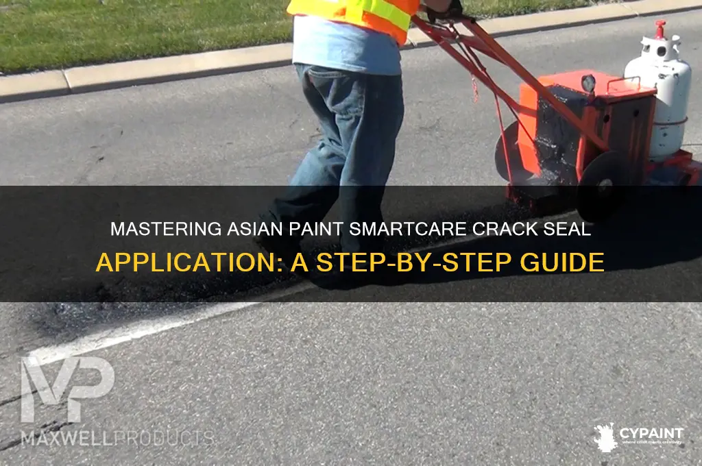 Mastering Asian Paint Smartcare Crack Seal Application: A Step-By-Step ...
