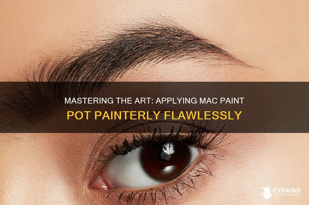 Mastering The Art: Applying Mac Paint Pot Painterly Flawlessly | CyPaint