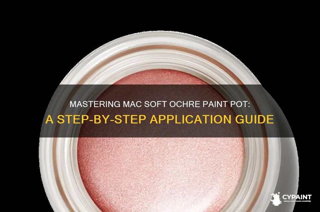 Mastering Mac Soft Ochre Paint Pot: A Step-By-Step Application Guide ...