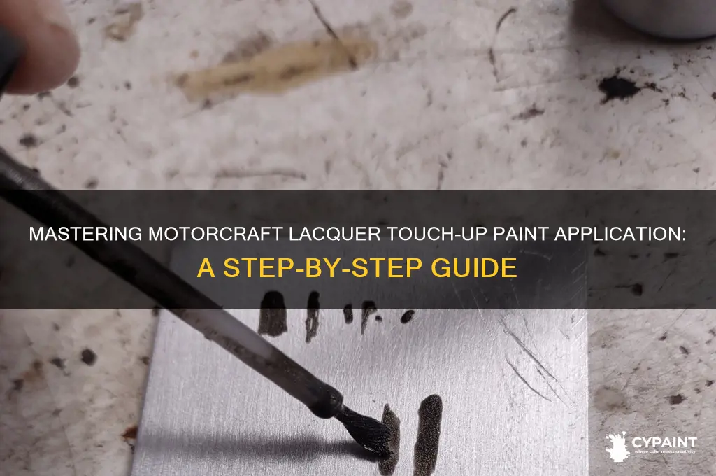 Mastering Motorcraft Lacquer Touch-Up Paint Application: A Step-By-Step ...