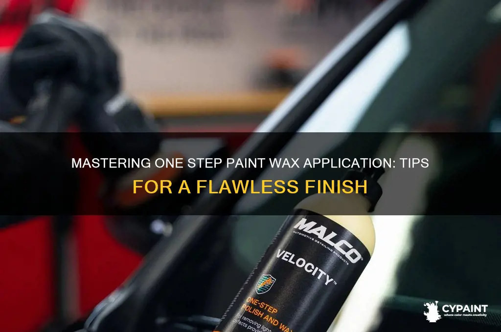 Mastering One Step Paint Wax Application: Tips For A Flawless Finish ...