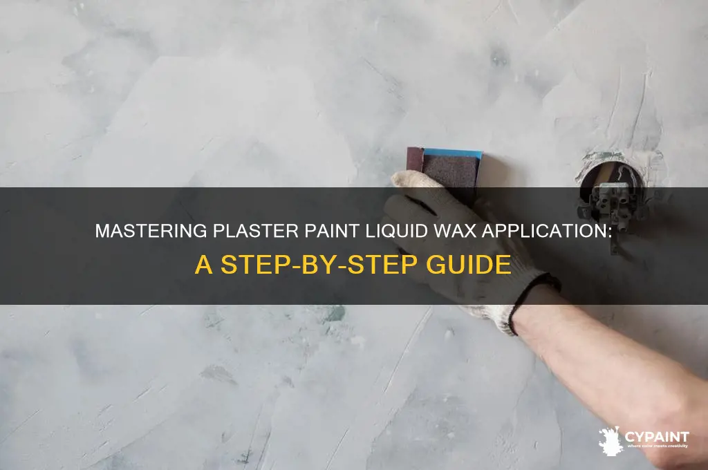 Mastering Plaster Paint Liquid Wax Application: A Step-By-Step Guide ...