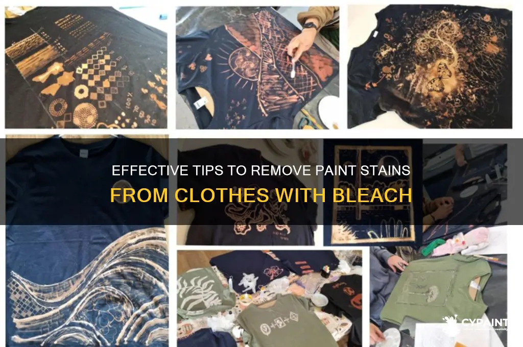 Effective Tips To Remove Paint Stains From Clothes With Bleach | CyPaint