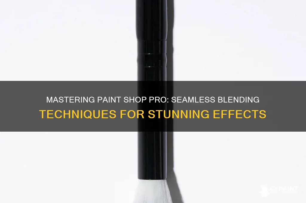 Mastering Paint Shop Pro: Seamless Blending Techniques For Stunning ...