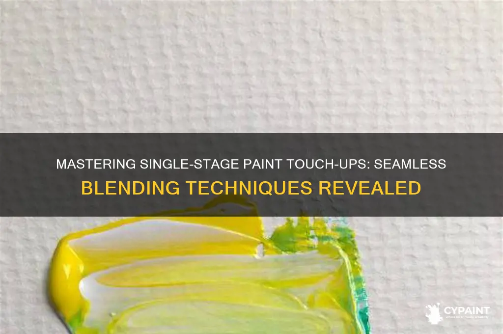 Mastering Single-Stage Paint Touch-Ups: Seamless Blending Techniques ...