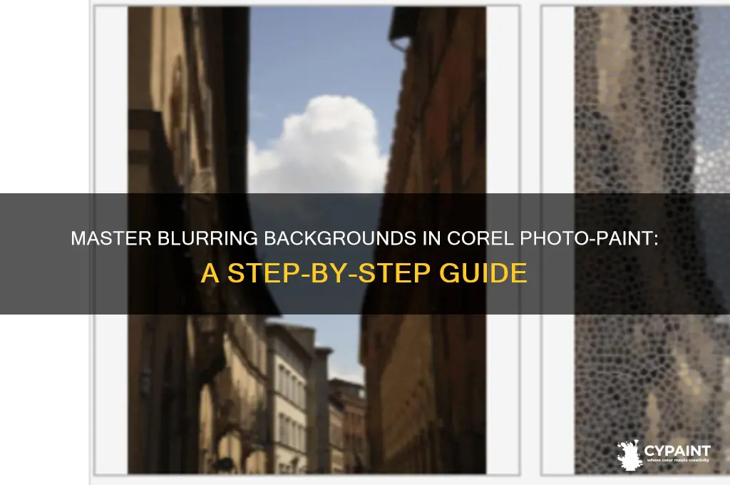 Master Blurring Backgrounds In Corel Photo-Paint: A Step-By-Step Guide ...
