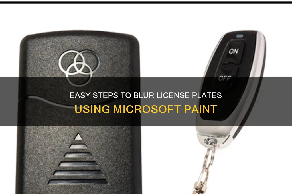 Easy Steps To Blur License Plates Using Microsoft Paint | CyPaint