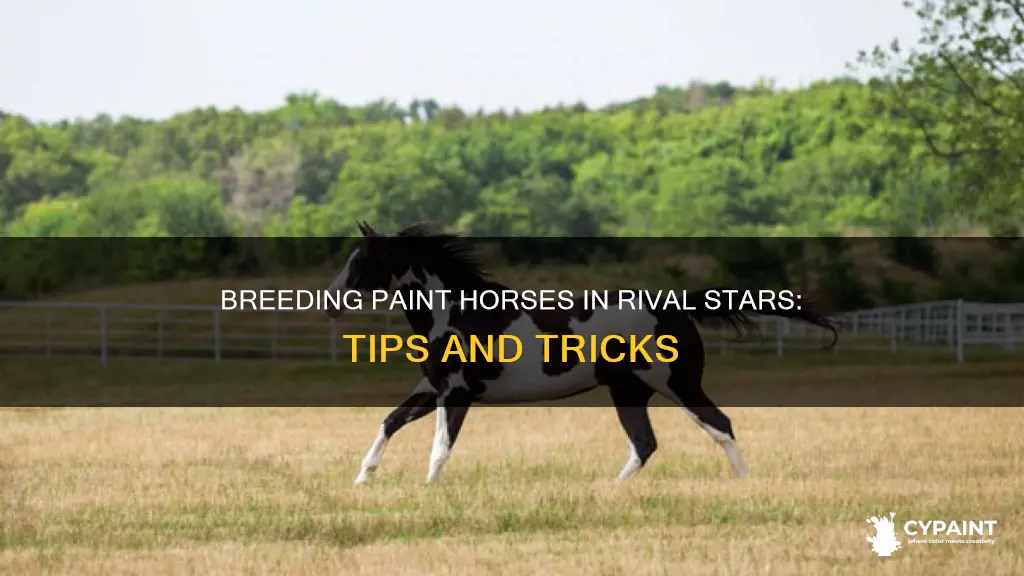Breeding Paint Horses In Rival Stars: Tips And Tricks | CyPaint