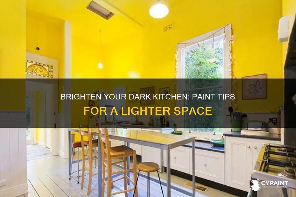 Brighten Your Dark Kitchen: Paint Tips For A Lighter Space | CyPaint