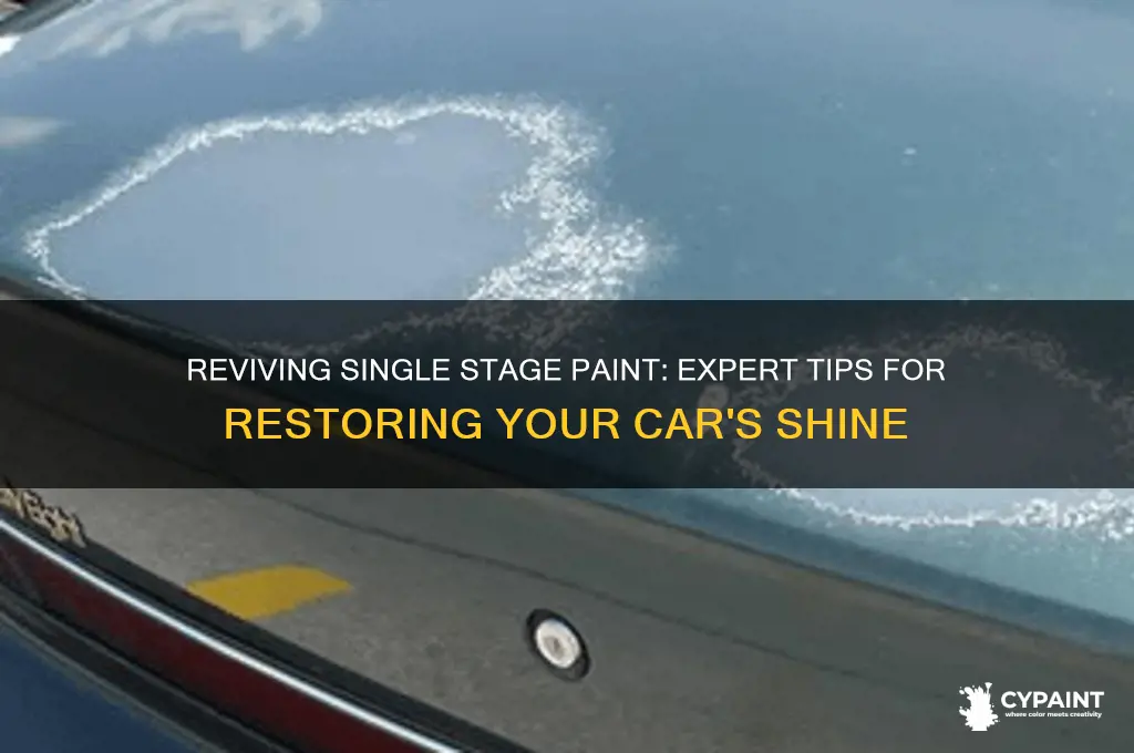 Reviving Single Stage Paint: Expert Tips For Restoring Your Car's Shine ...