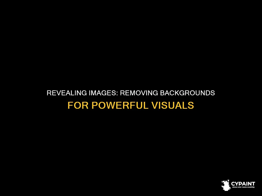 Revealing Images: Removing Backgrounds For Powerful Visuals | CyPaint