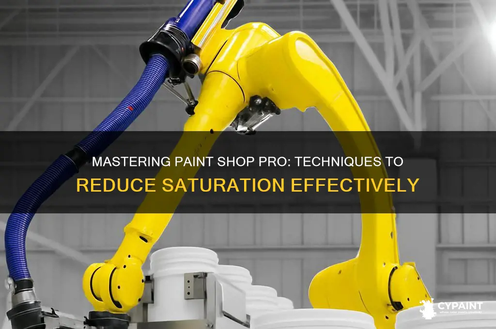 Mastering Paint Shop Pro: Techniques To Reduce Saturation Effectively ...