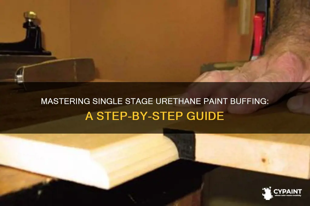Mastering Single Stage Urethane Paint Buffing: A Step-By-Step Guide ...