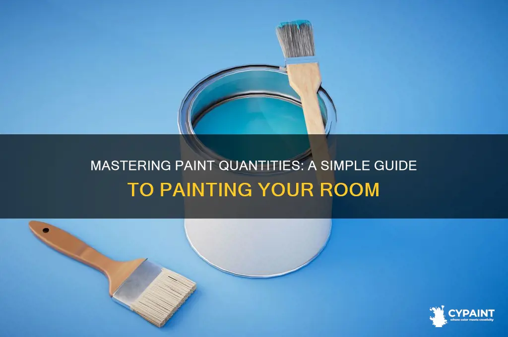 Mastering Paint Quantities: A Simple Guide To Painting Your Room | CyPaint