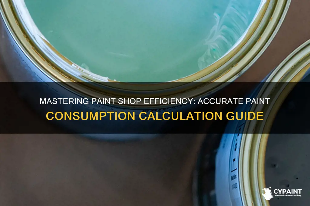 Mastering Paint Shop Efficiency: Accurate Paint Consumption Calculation ...