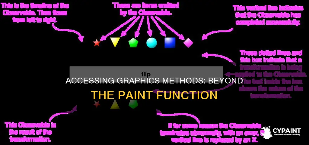 Accessing Graphics Methods: Beyond The Paint Function | CyPaint