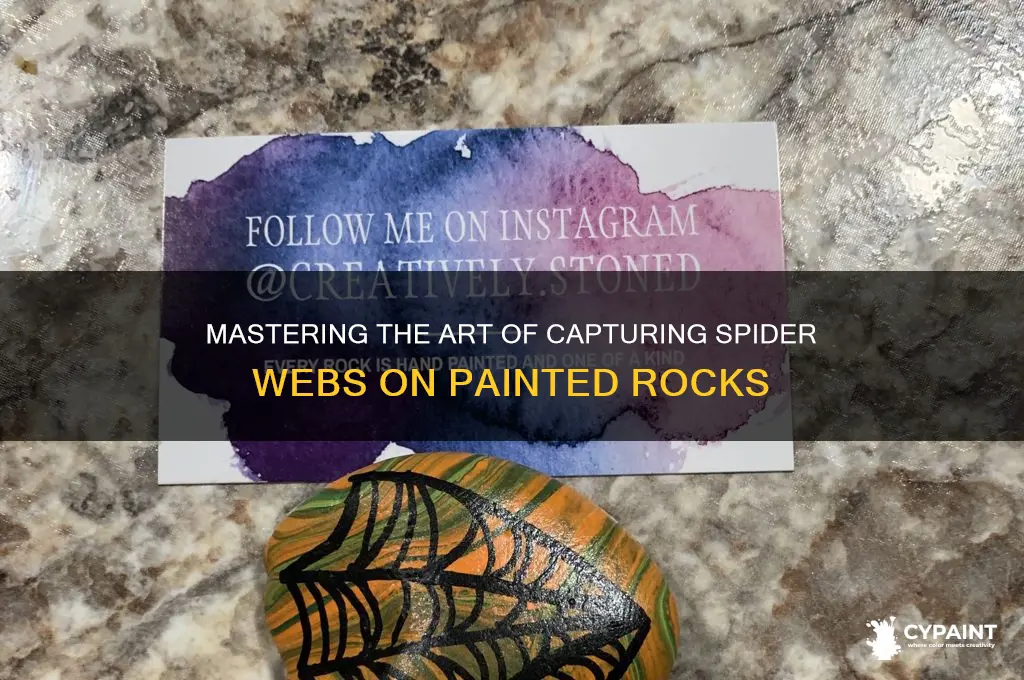 Mastering The Art Of Capturing Spider Webs On Painted Rocks | CyPaint
