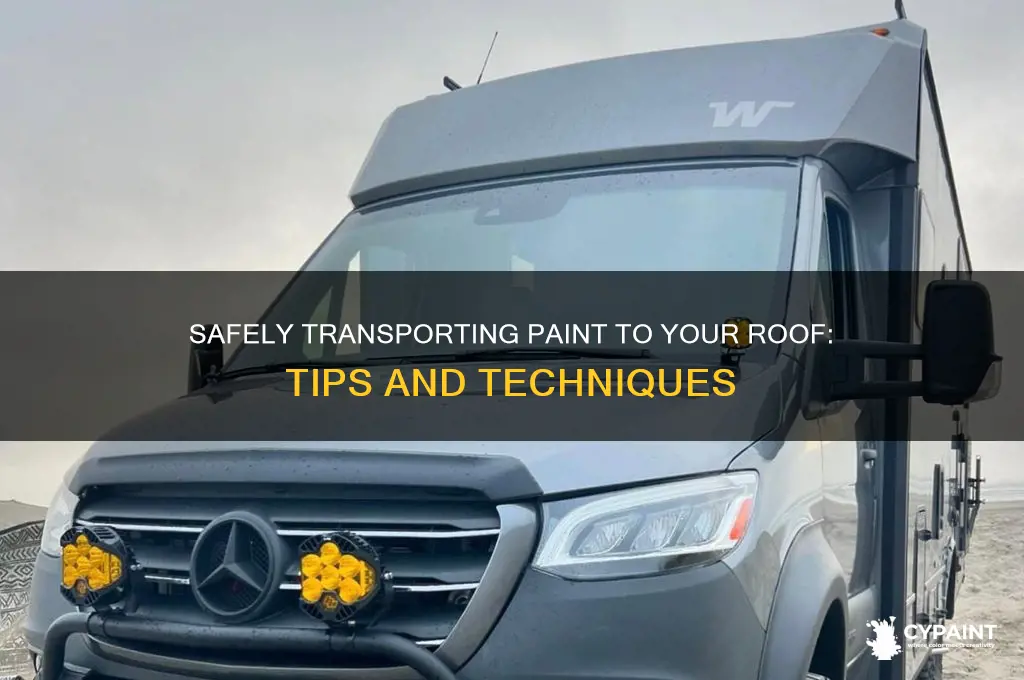 Safely Transporting Paint To Your Roof: Tips And Techniques | CyPaint
