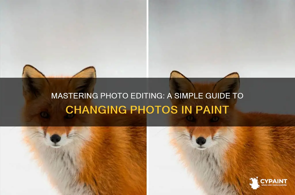 Mastering Photo Editing: A Simple Guide To Changing Photos In Paint ...