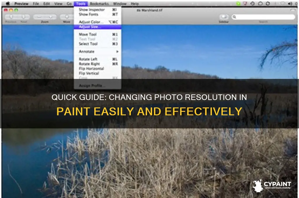 Quick Guide: Changing Photo Resolution In Paint Easily And Effectively ...