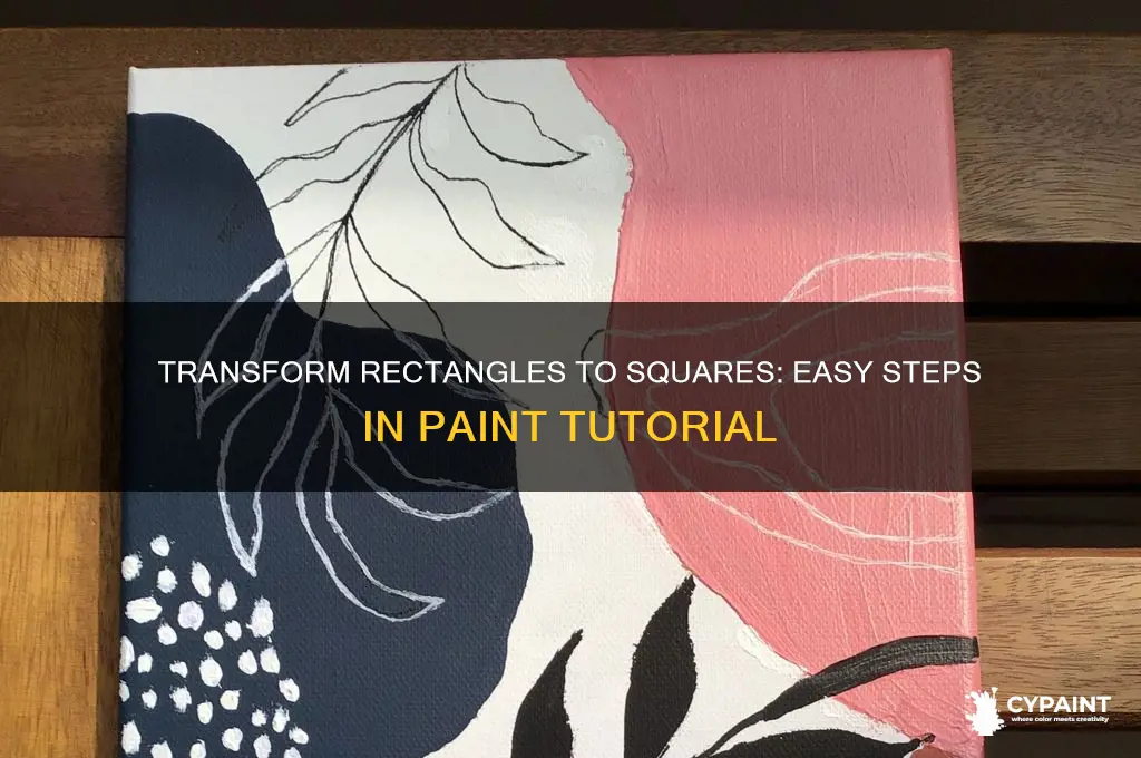 Transform Rectangles To Squares: Easy Steps In Paint Tutorial | CyPaint