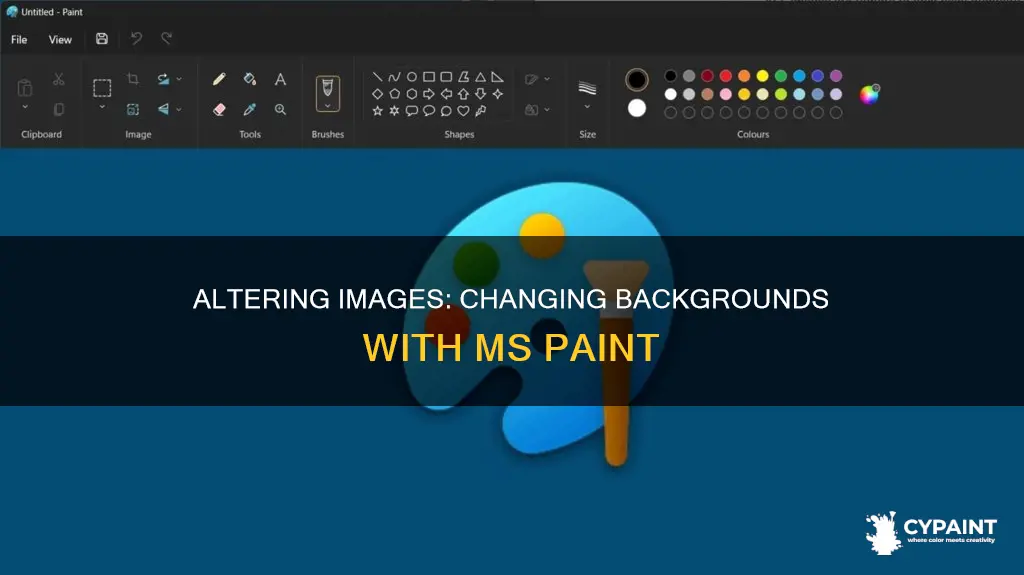 Altering Images: Changing Backgrounds With Ms Paint | CyPaint