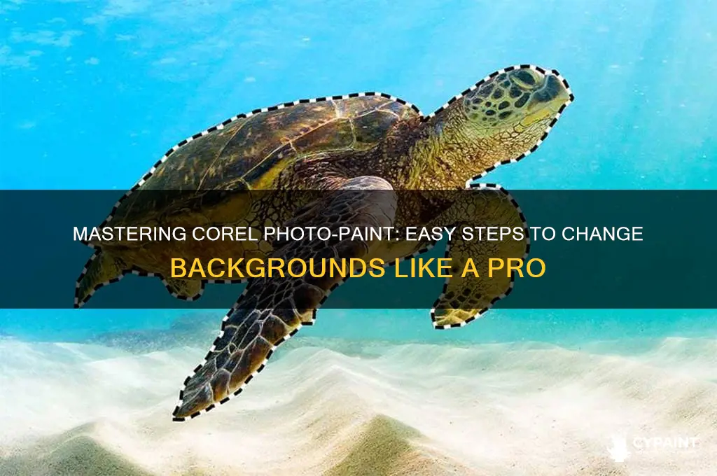 Mastering Corel Photo-Paint: Easy Steps To Change Backgrounds Like A ...