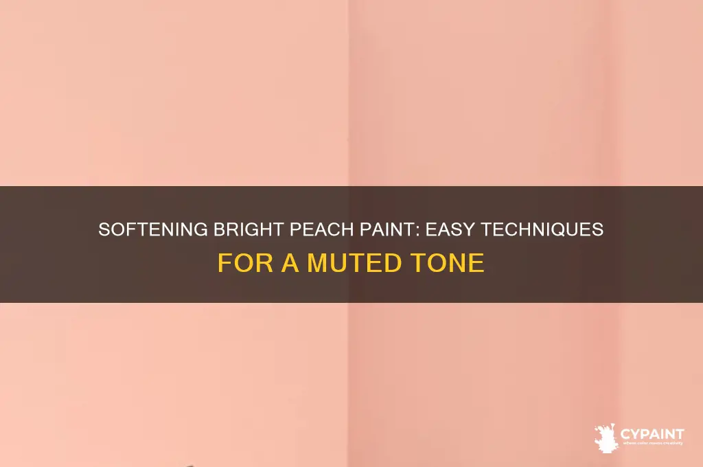 Softening Bright Peach Paint: Easy Techniques For A Muted Tone | CyPaint