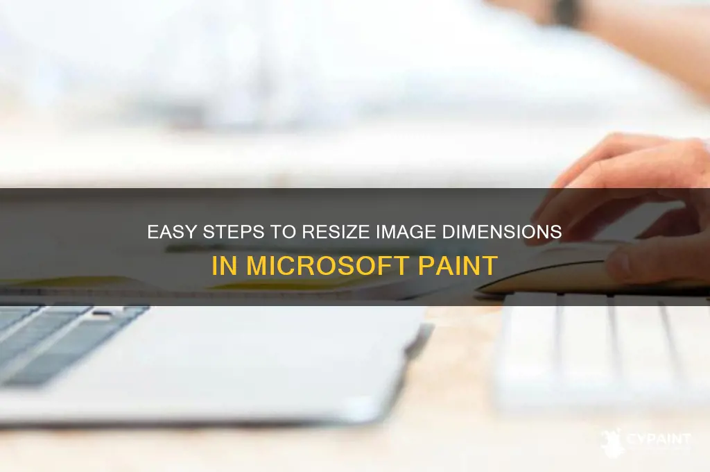 Easy Steps To Resize Image Dimensions In Microsoft Paint | CyPaint