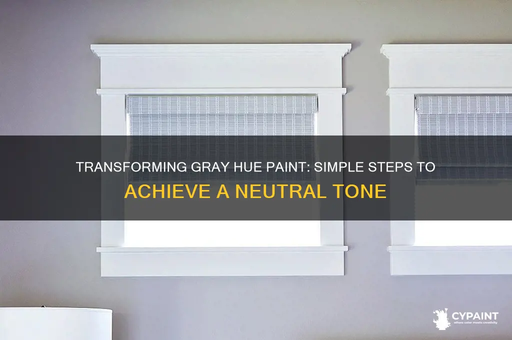 Transforming Gray Hue Paint: Simple Steps To Achieve A Neutral Tone ...