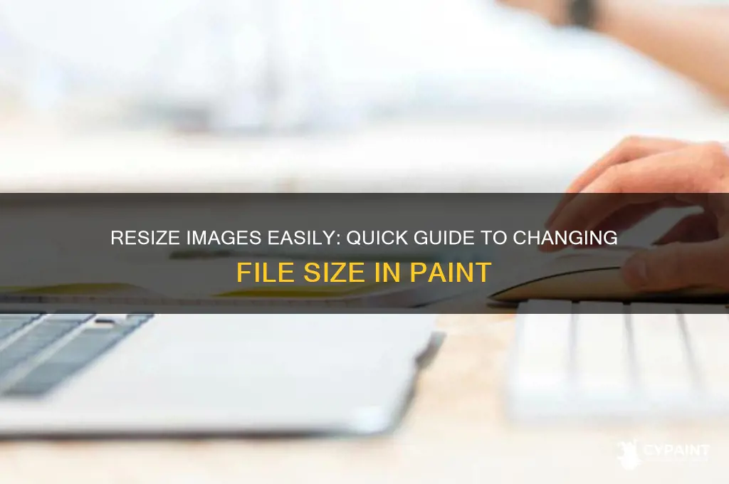 Resize Images Easily: Quick Guide To Changing File Size In Paint | CyPaint