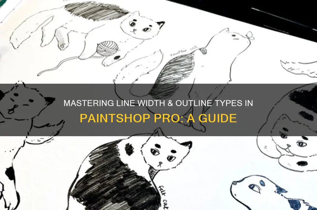 Mastering Line Width & Outline Types In Paintshop Pro: A Guide | CyPaint