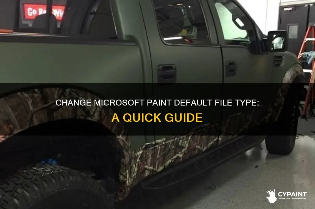 Change Microsoft Paint Default File Type: A Quick Guide | CyPaint