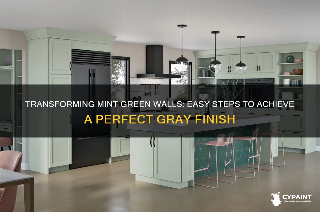 Transforming Mint Green Walls: Easy Steps To Achieve A Perfect Gray ...