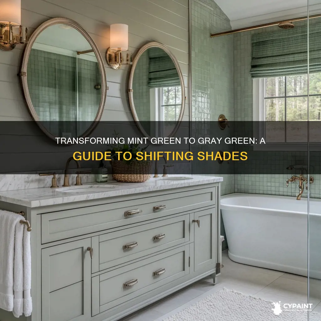 Transforming Mint Green To Gray Green: A Guide To Shifting Shades | CyPaint