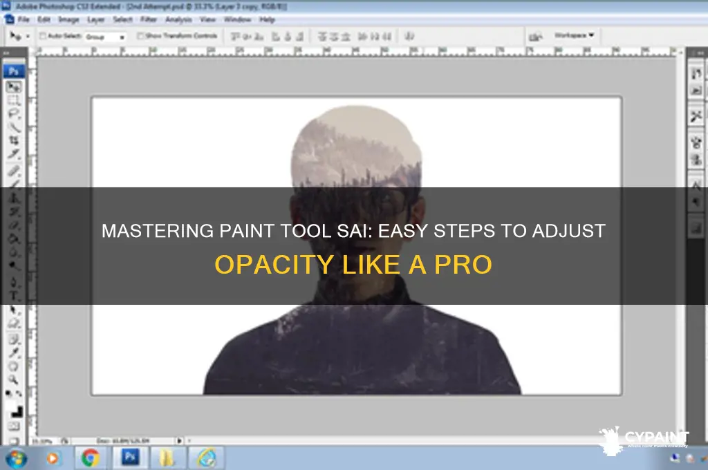 Mastering Paint Tool Sai: Easy Steps To Adjust Opacity Like A Pro | CyPaint