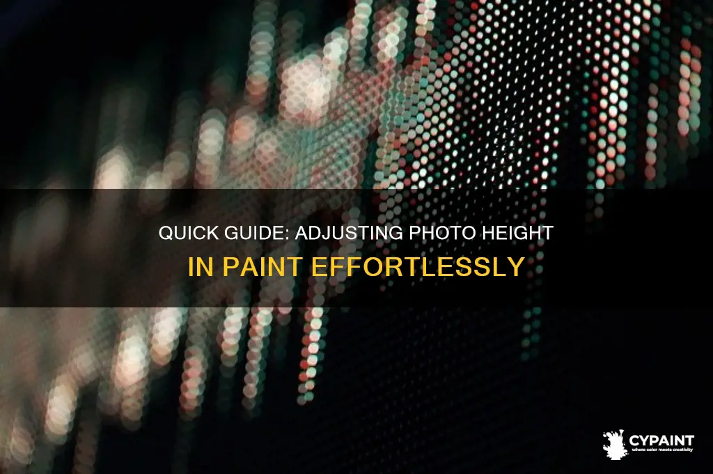 Quick Guide: Adjusting Photo Height In Paint Effortlessly | CyPaint