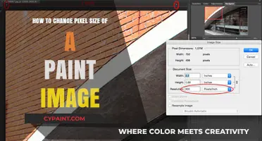 Adjusting Opacity In Ms Paint: A Simple Guide | CyPaint